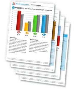 Unlimited DISC Assessments - DISC Plus Profiles