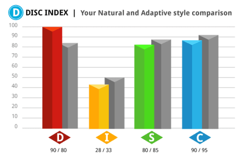 DISC Personality Test | Accurate Assessment | DISC+Plus