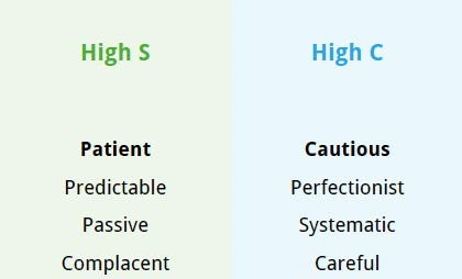 Meet High S/C Scout | DISC+Plus