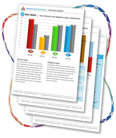 Disc Personality Styles Disc Plus