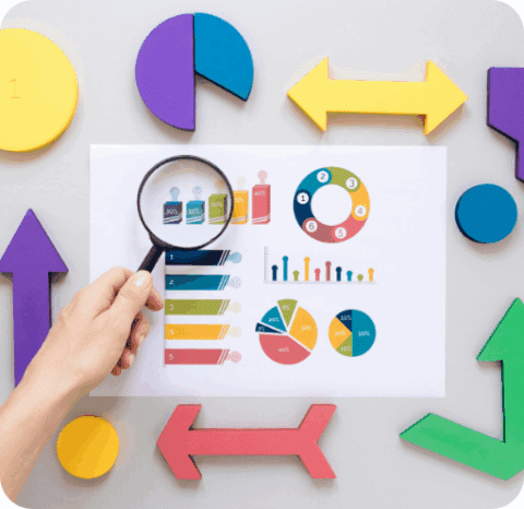 DISC Personality Styles | DISC+Plus