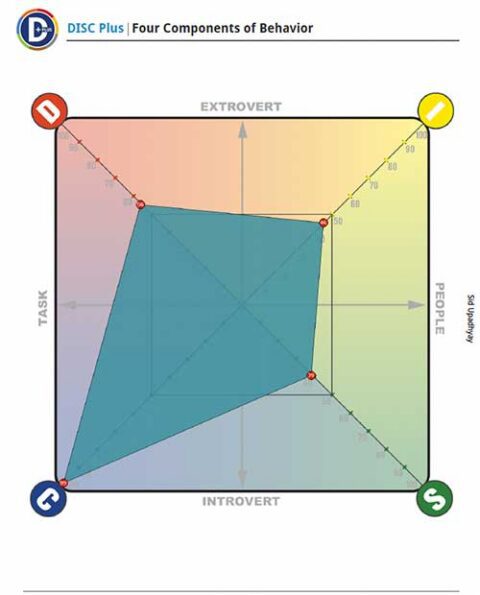 CD Style | CD DISC Personality | CD DISC Profile | DISC+Plus